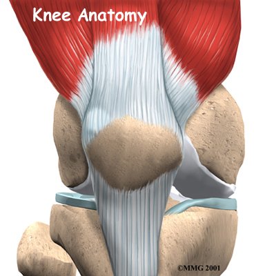 Knee Update 2020 « Athlon Orthopedics